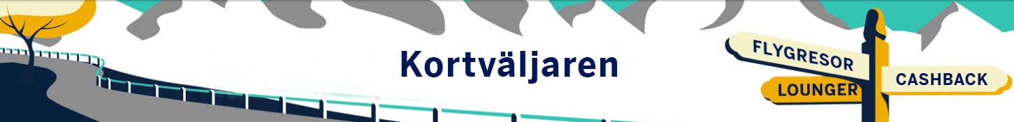 Alla våra kreditkort och betalkort | American Express