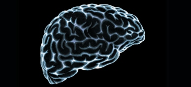 9 Ways to Instantly Strengthen Your Brain